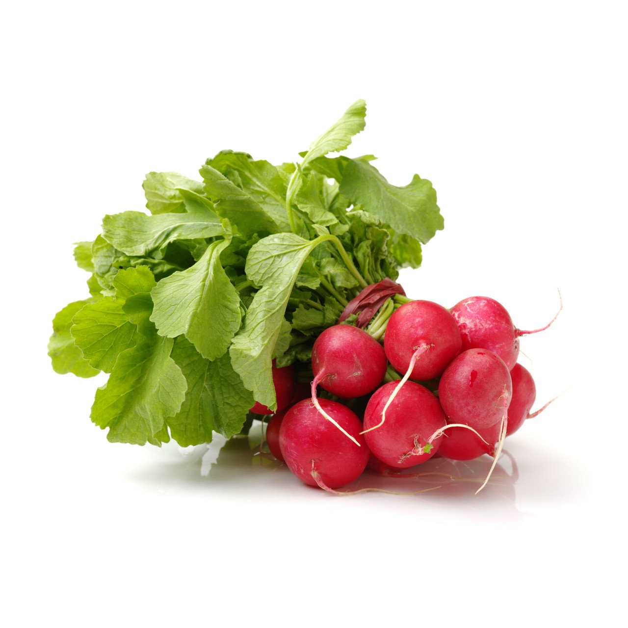 Produkt: Radiesli, Bio Knospe Schweiz, Schweiz - Bio Partner Schweiz AG