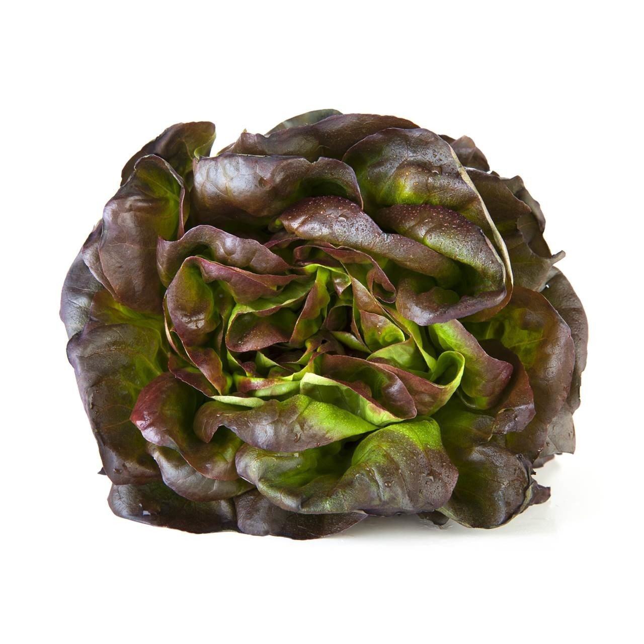 Produkt: - Bio Partner Schweiz AG