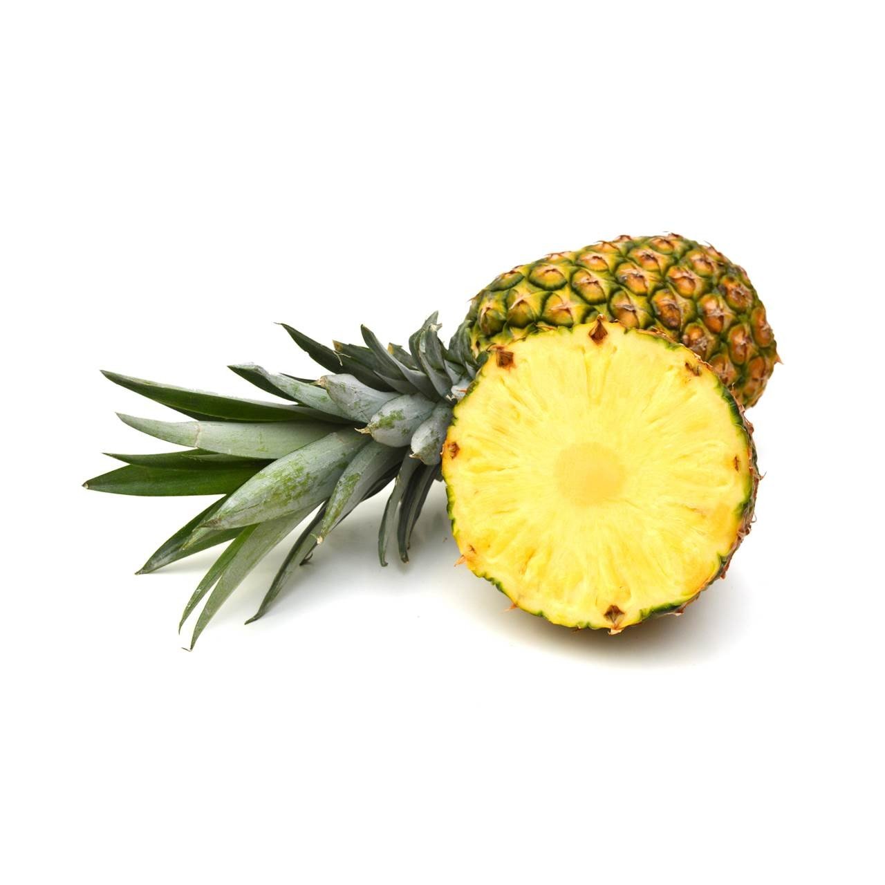 Katalog - Bio Partner Schweiz AG