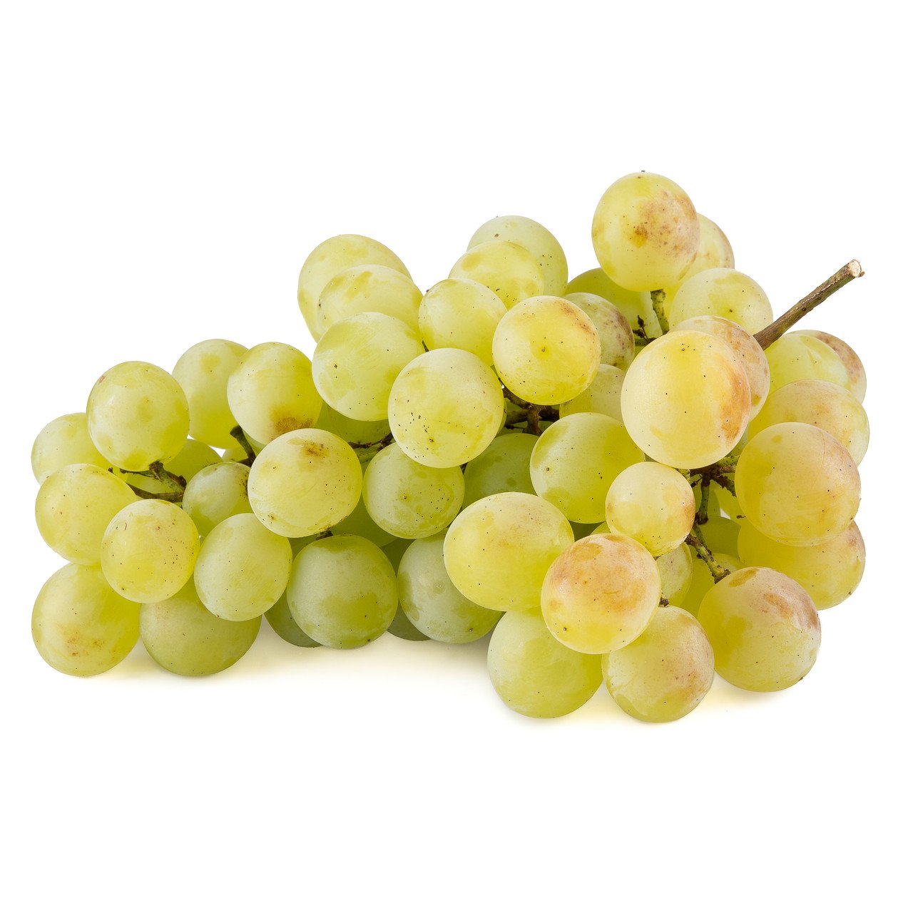 Shop - Bio Partner Schweiz AG